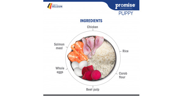 Promise 360 Degree Nutrition Puppy Dry Dog Food, 2 Kgs : Buy Promise ...