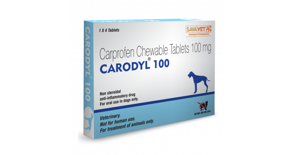Carodyl Carprofen Chewable Tablets 100 mg : Buy Carodyl Carprofen ...